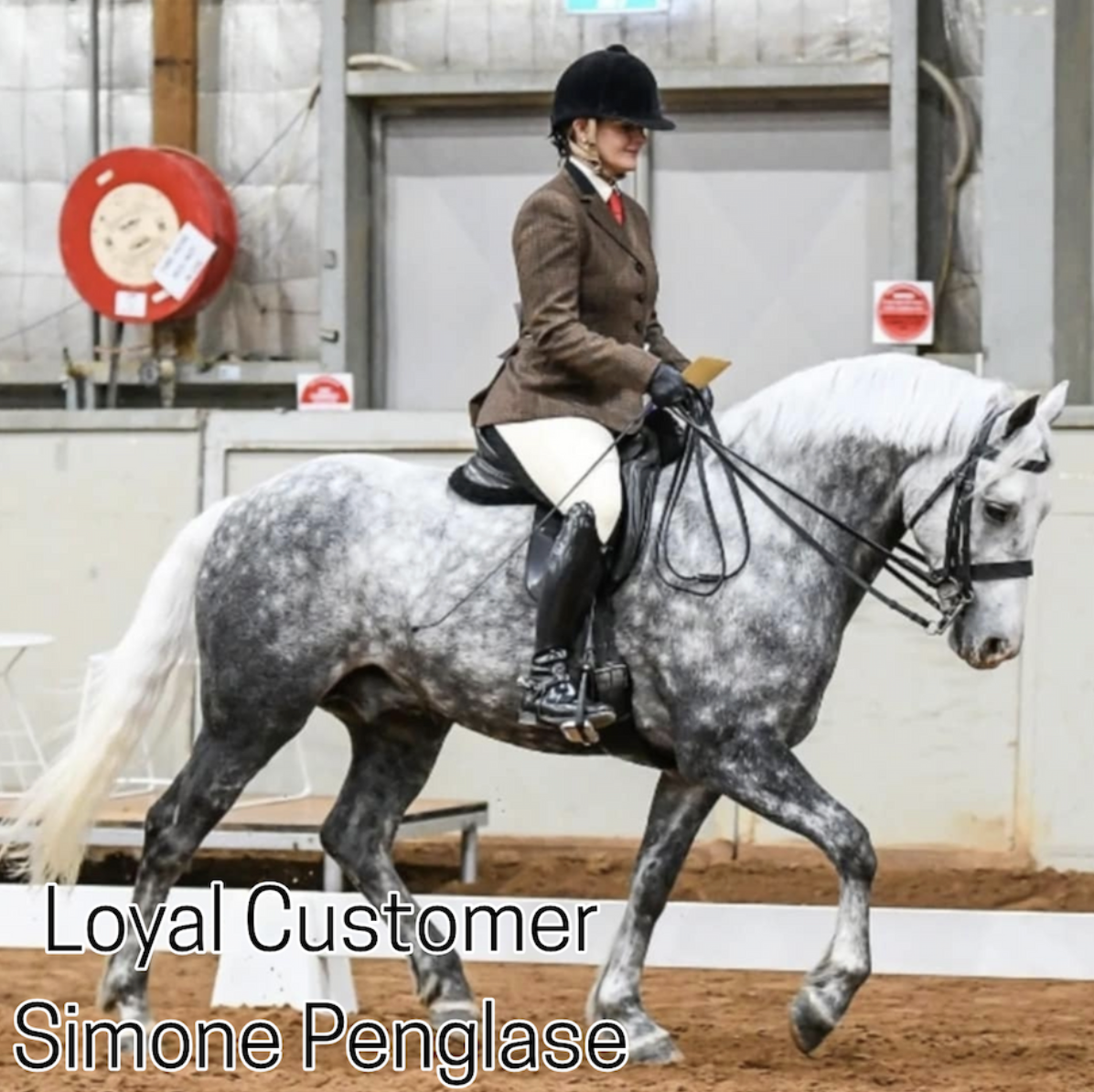 Meet One of Our Most Loyal Riders 🐎 – JnK Collective